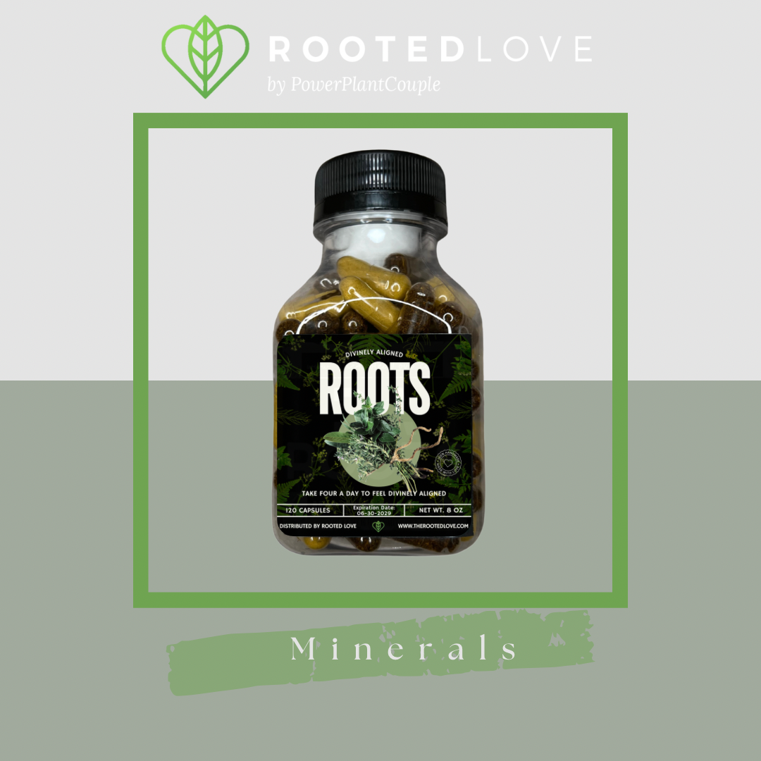 DA ROOTS – The Rooted Love